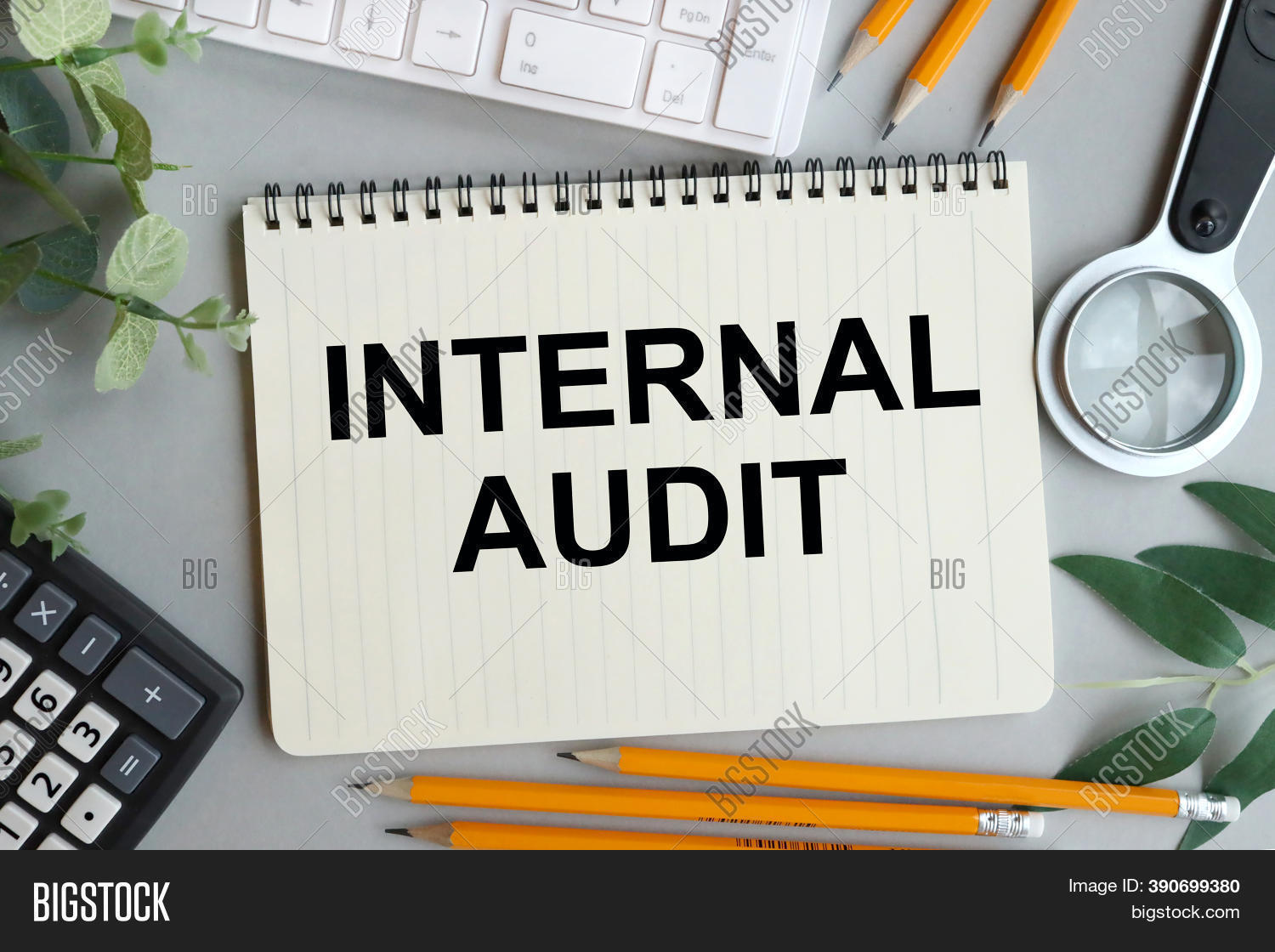 Internal Audit, Text Image & Photo (Free Trial) | Bigstock