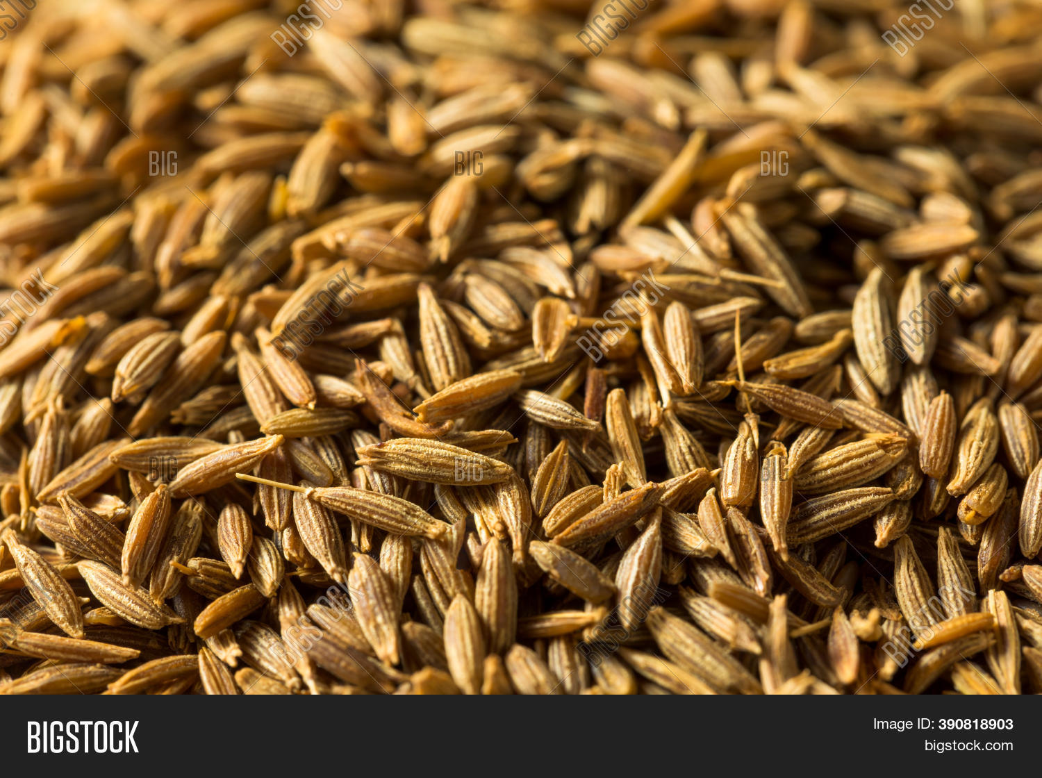 Raw Brown Organic Image & Photo (Free Trial) | Bigstock