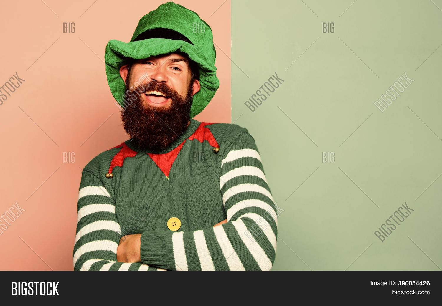 Bearded Elf. Winter Image & Photo (Free Trial) | Bigstock