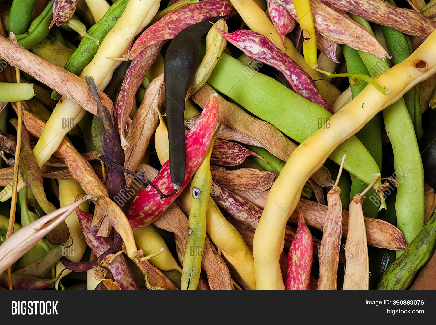 Mixture Muti Colored Image & Photo (Free Trial) | Bigstock