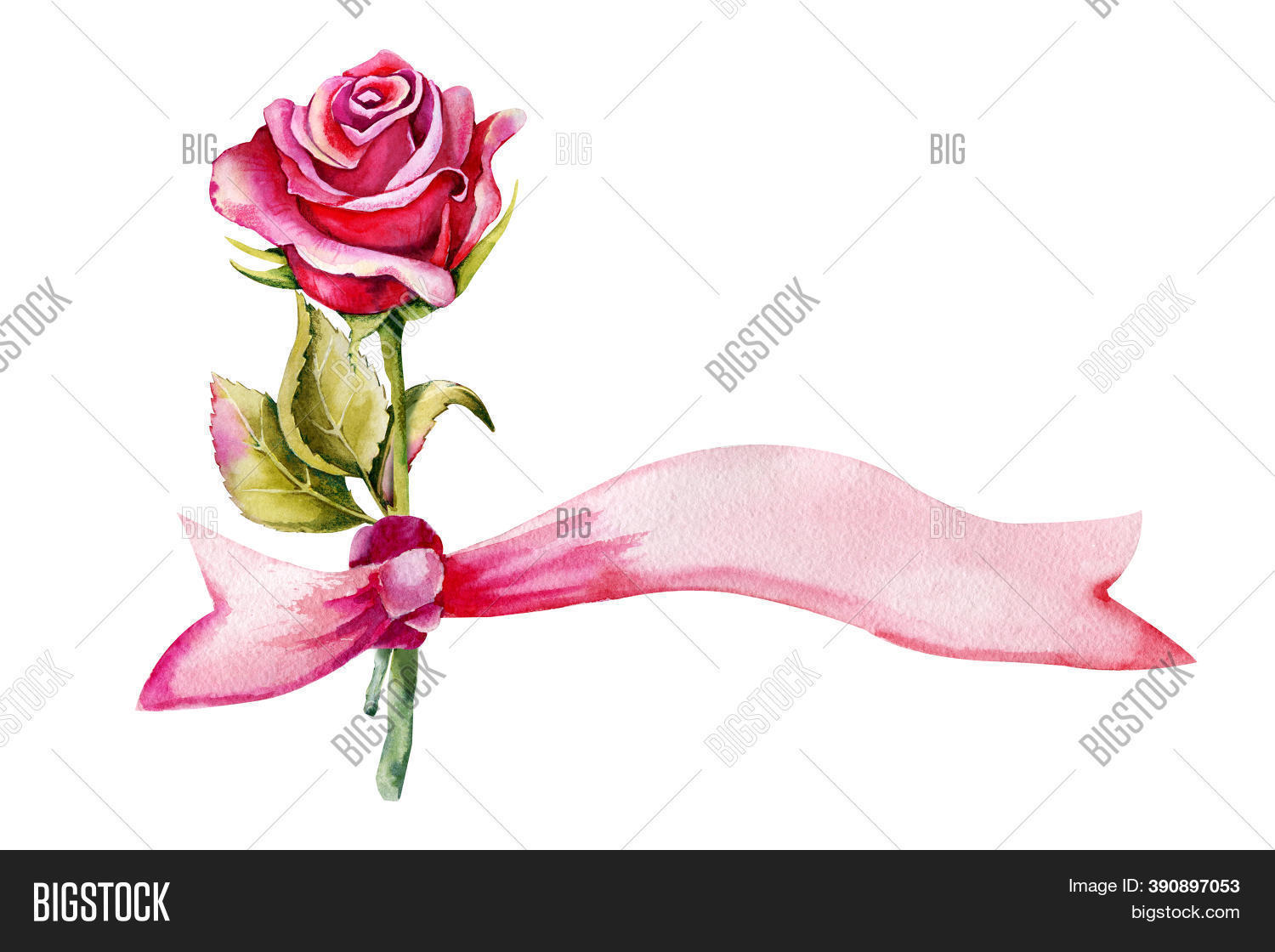 Bouquet Roses Ribbon. Image & Photo (Free Trial) | Bigstock