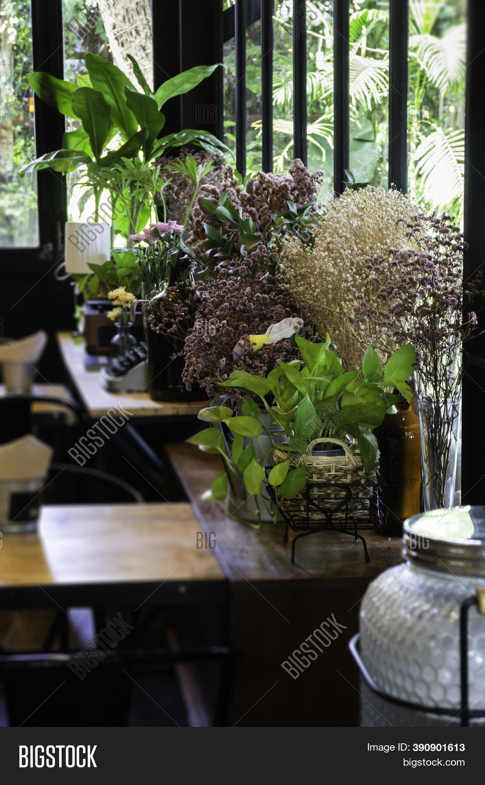 Dried Flower Image & Photo (Free Trial) | Bigstock