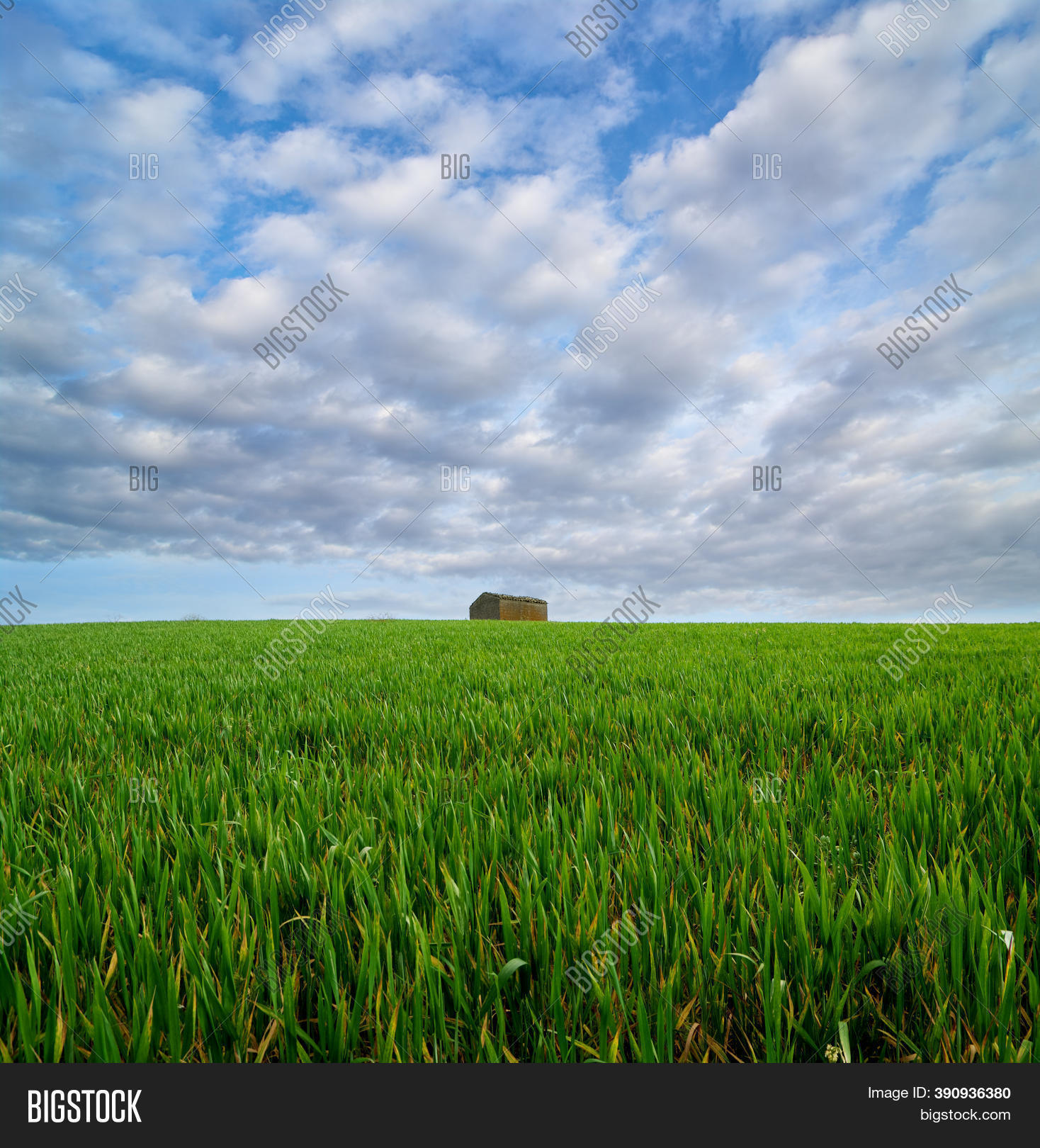 Field Grass Rural Image & Photo (Free Trial) | Bigstock