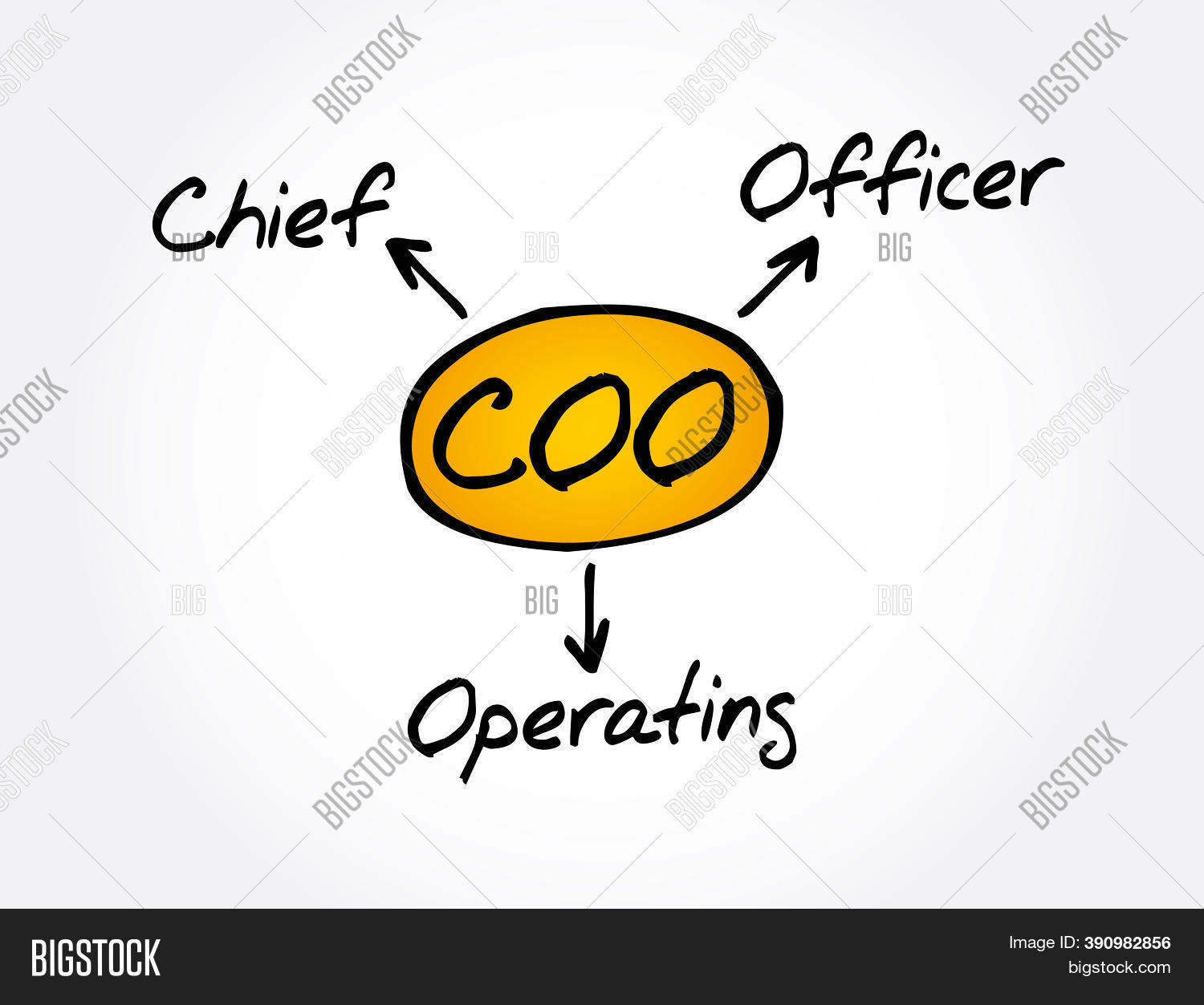 Coo - Chief Operating Image & Photo (Free Trial) | Bigstock