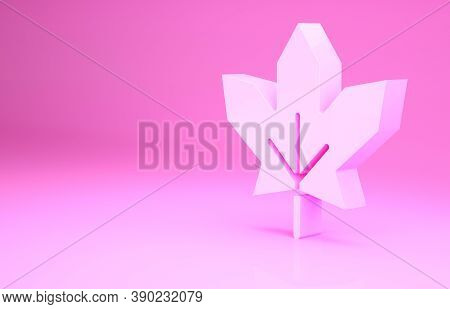 Pink Canadian Maple Image & Photo (Free Trial) | Bigstock