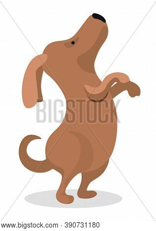 Dog Standing On Back Vector & Photo (Free Trial) | Bigstock