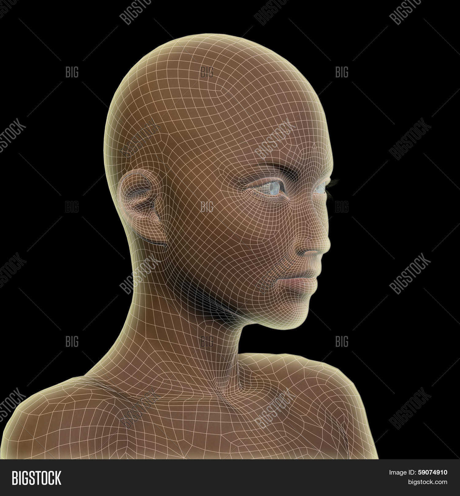 High Resolution Image & Photo (Free Trial) | Bigstock