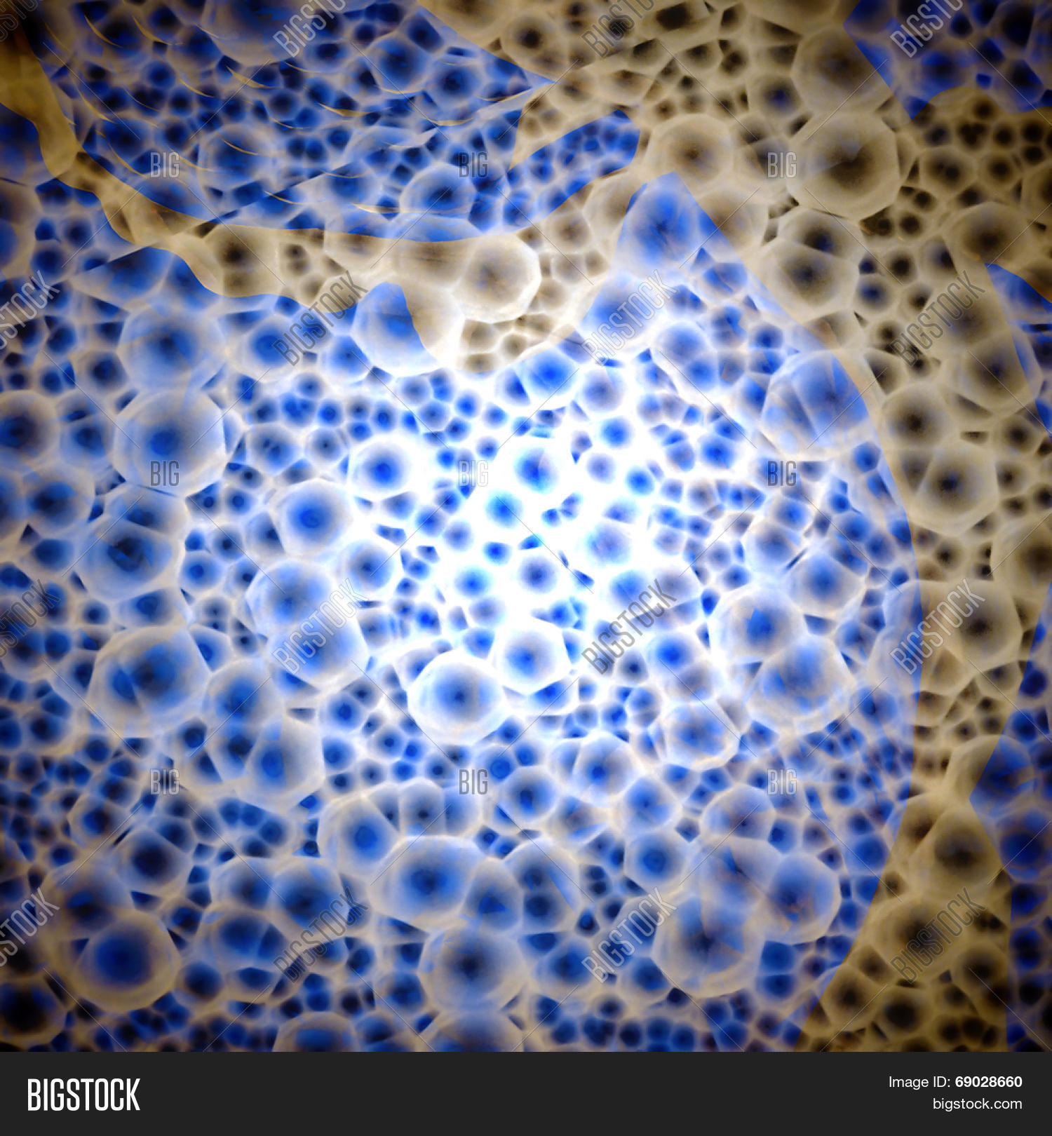 Bacteria Cells Close Image & Photo (Free Trial) | Bigstock