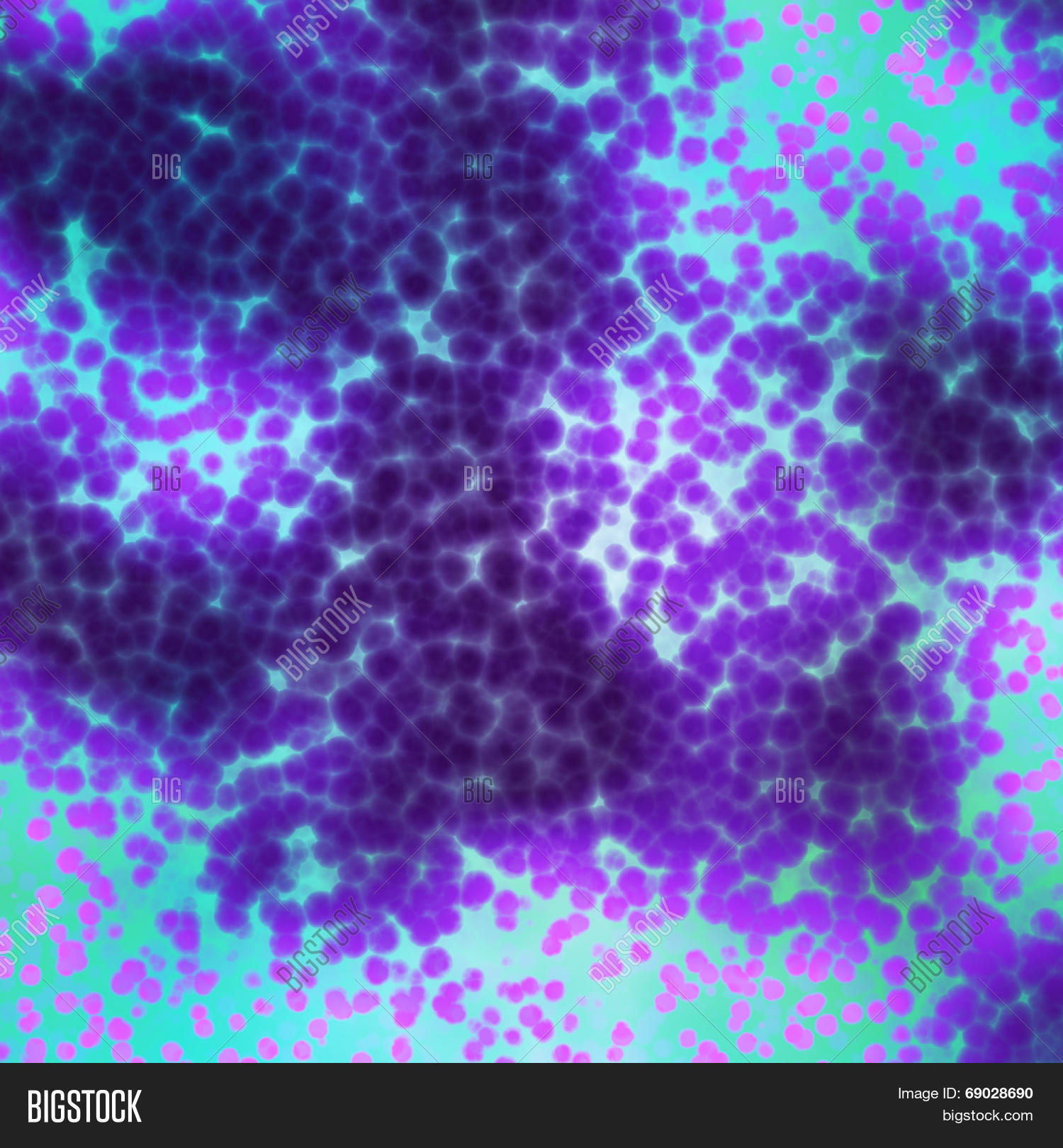 Bacteria Cells Close Image & Photo (Free Trial) | Bigstock