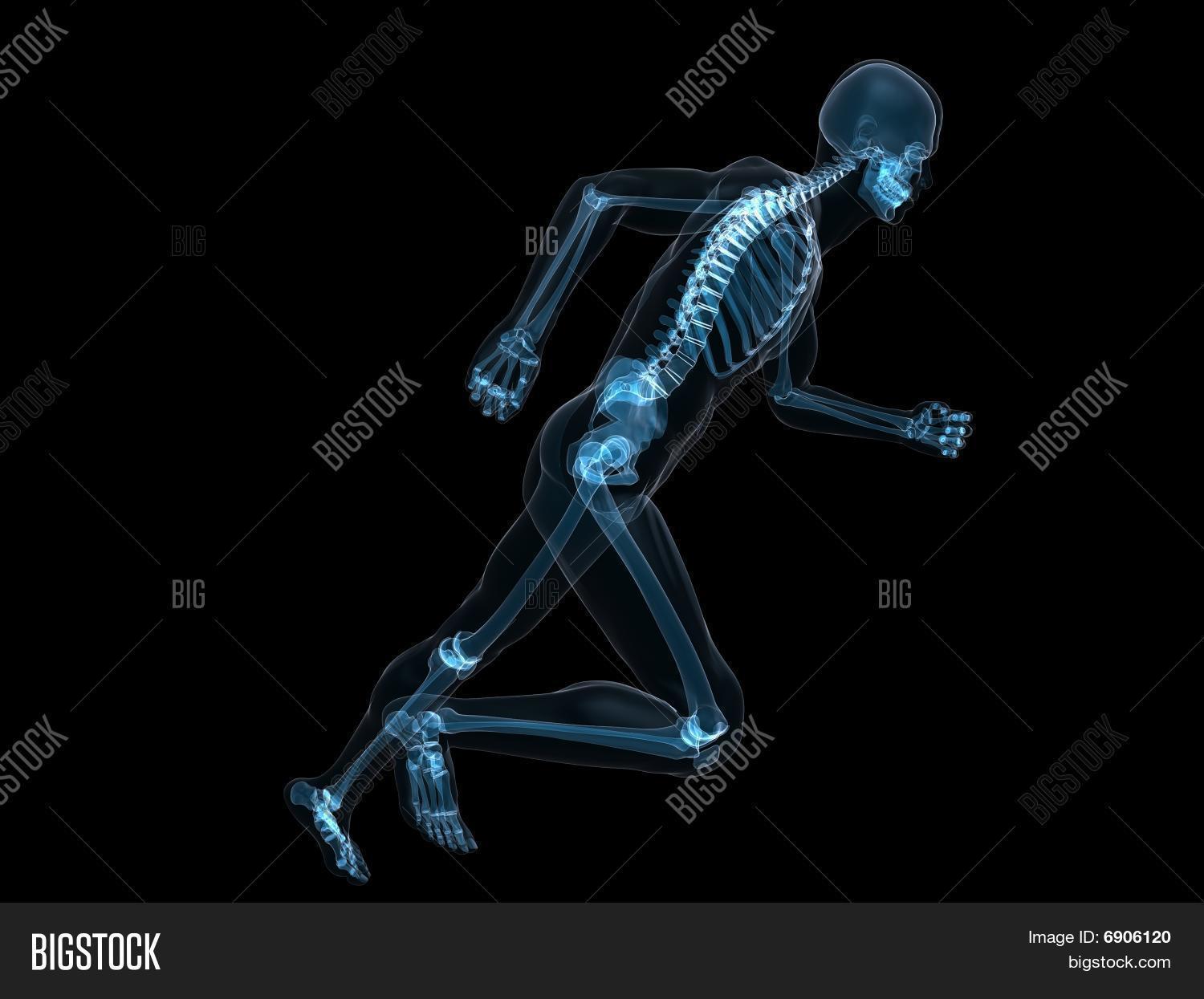 Running Skeleton Image & Photo (Free Trial) | Bigstock