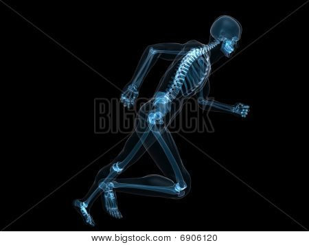 Running Skeleton Image & Photo (Free Trial) | Bigstock