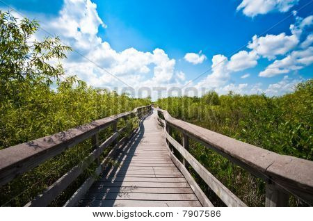 Chekika, Everglades Image & Photo (Free Trial) | Bigstock