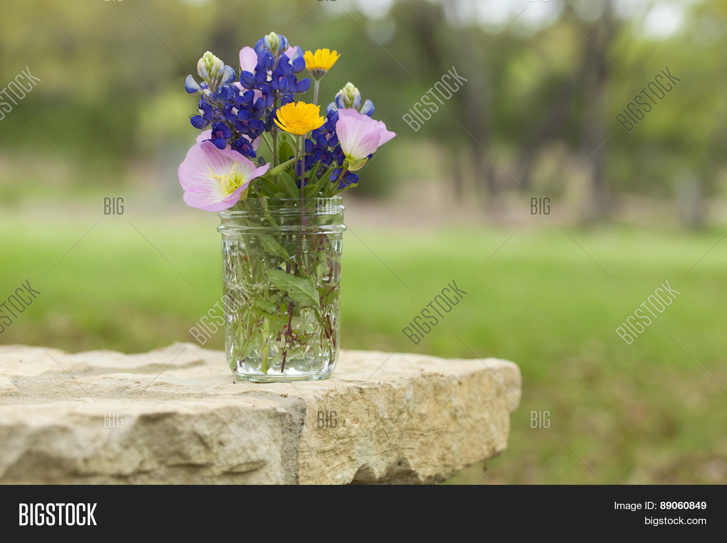 Bouquet Texas Image & Photo (Free Trial) | Bigstock