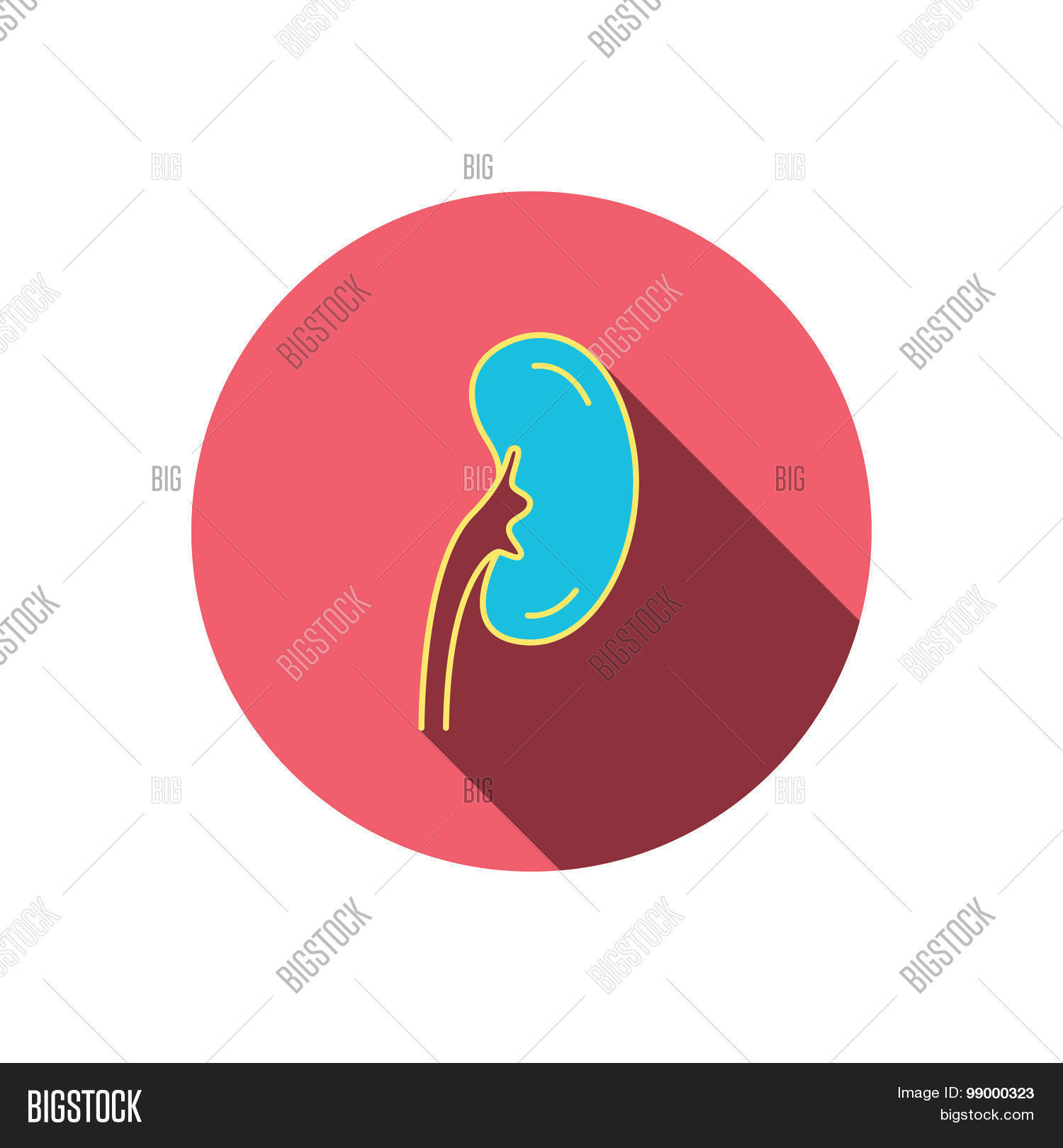 Kidney Icon. Vector & Photo (Free Trial) | Bigstock