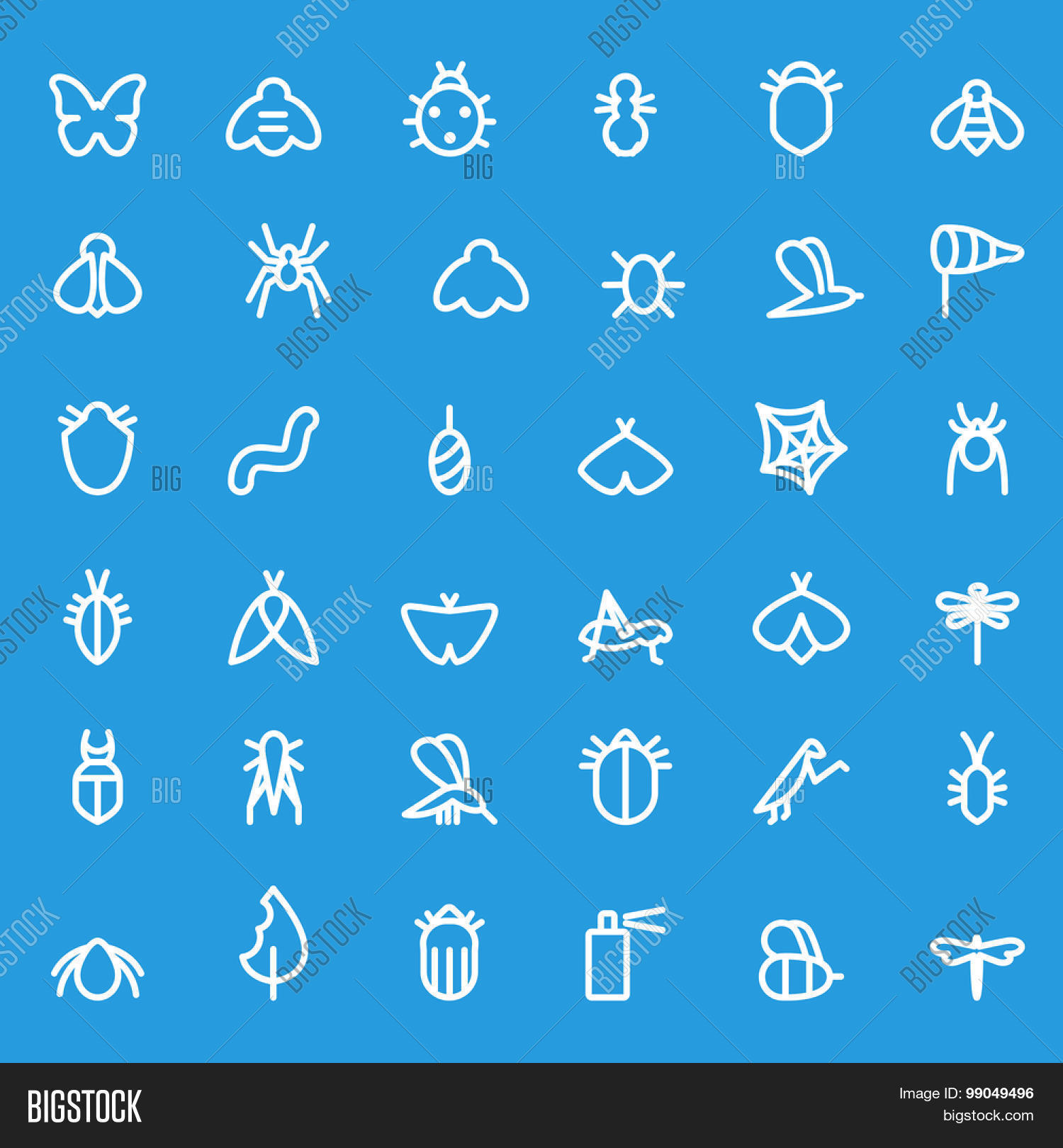 Insect Icon Set, Vector & Photo (Free Trial) | Bigstock