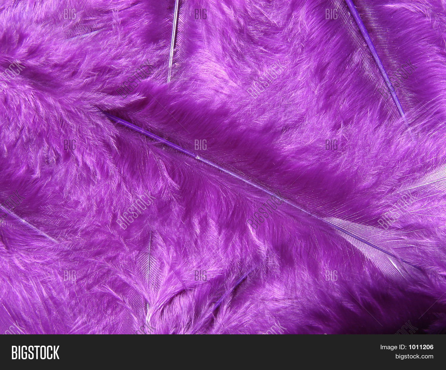 Soft Purple Image & Photo (Free Trial) | Bigstock
