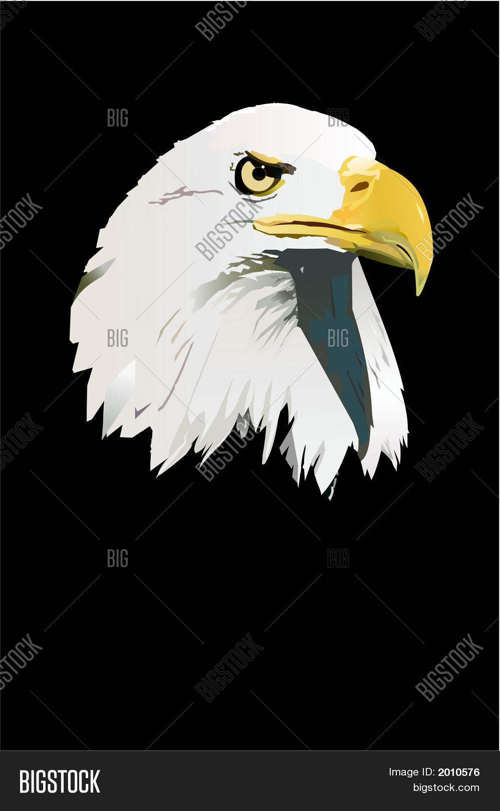 Bald American Eagle Vector & Photo (Free Trial) | Bigstock