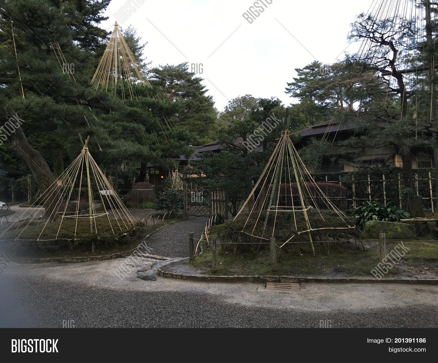 Yukitsuri - Trees Image & Photo (Free Trial) | Bigstock