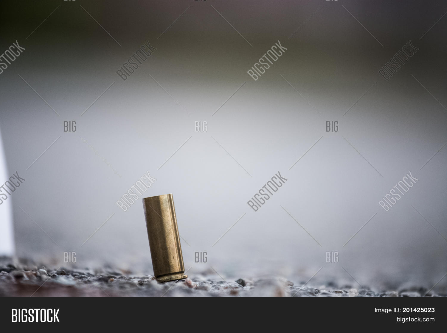 Bullet Shell On Ground Image & Photo (Free Trial) | Bigstock
