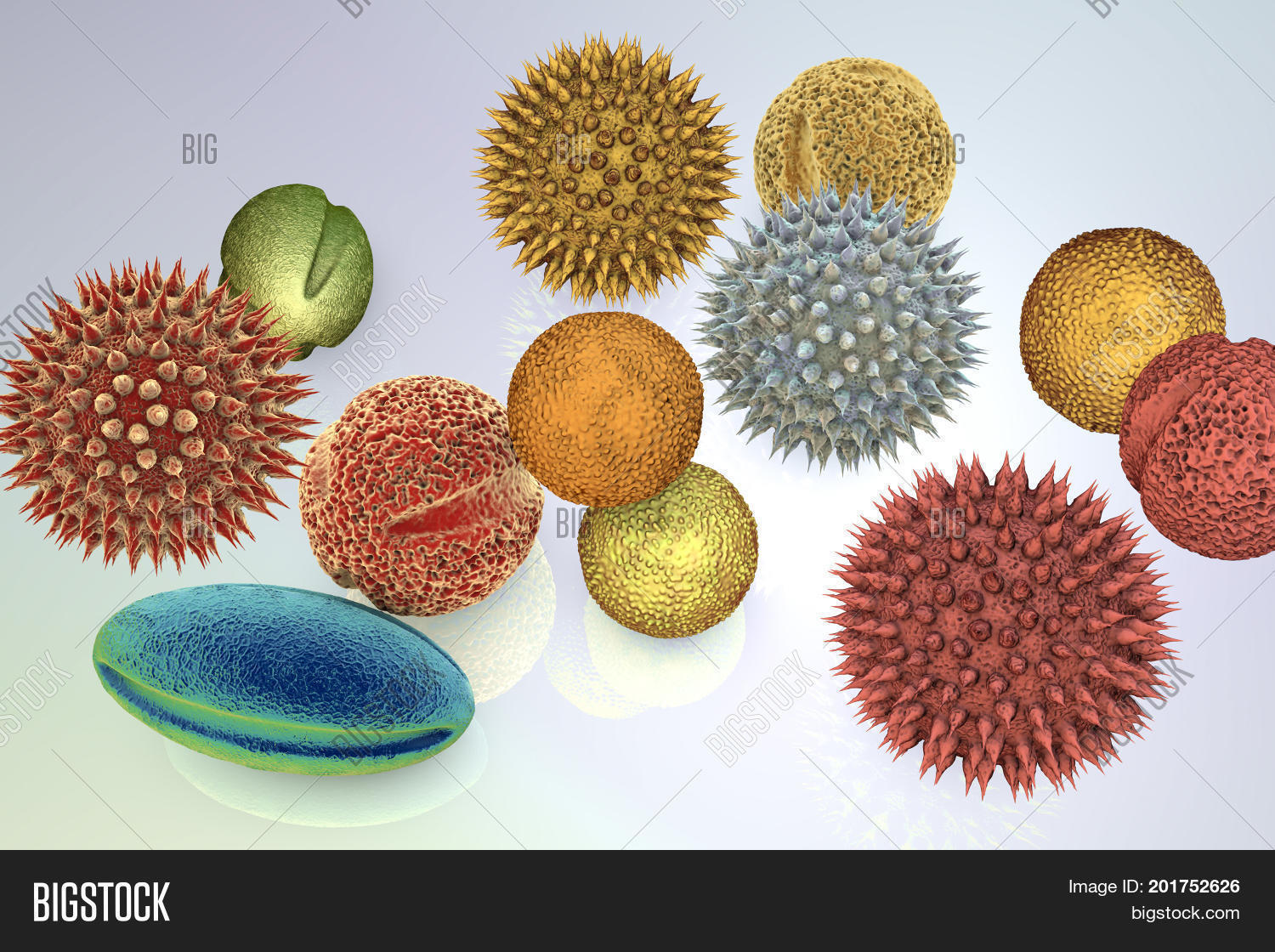 Imagen y foto Pollen Grains (prueba gratis) | Bigstock