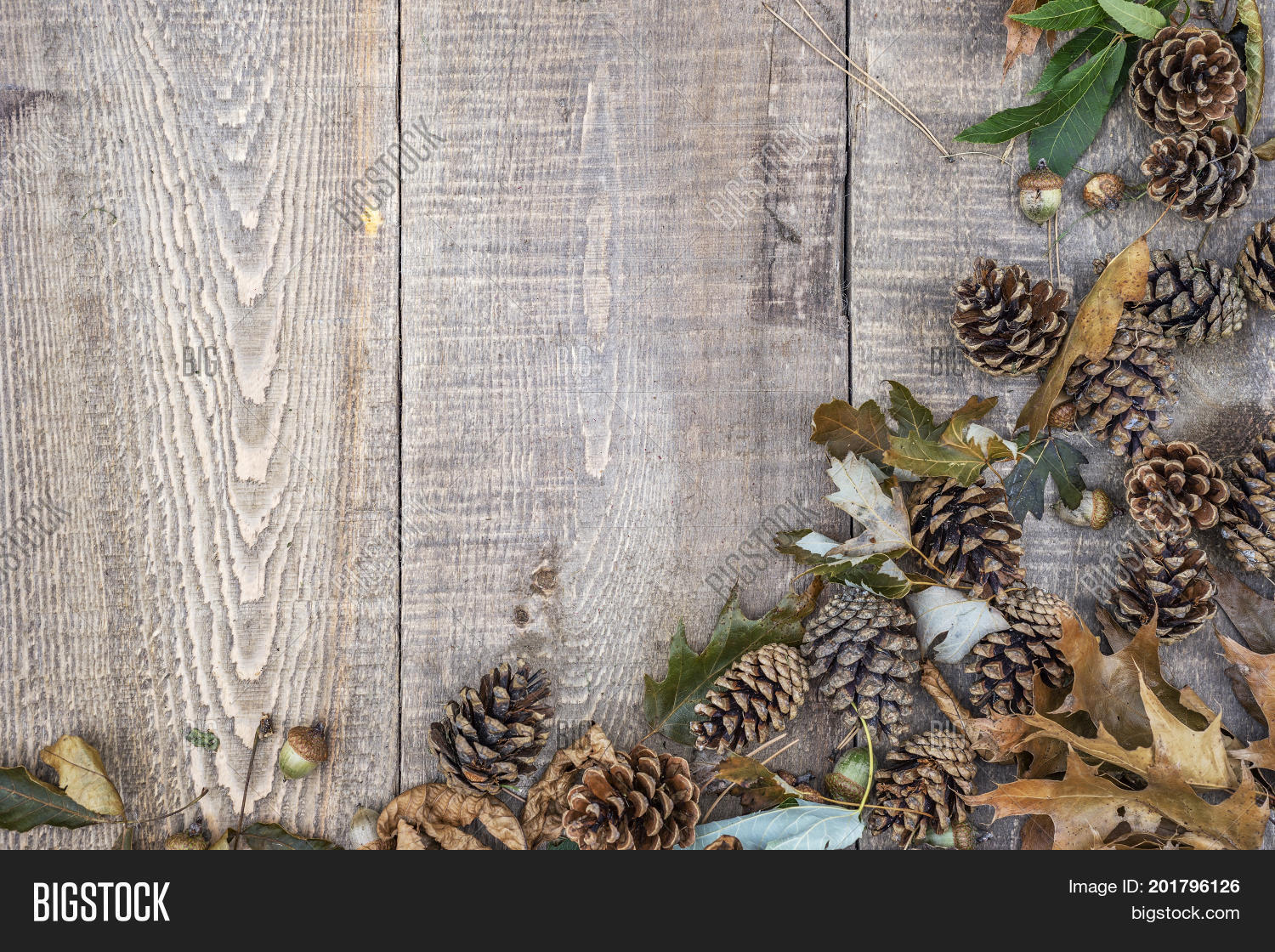Rustic Wooden Fall Image & Photo (Free Trial) | Bigstock