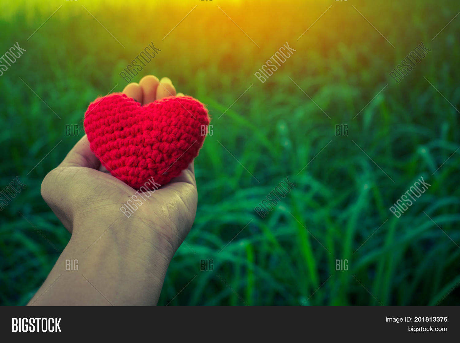 Hand Give Heart Love Image & Photo (Free Trial) | Bigstock