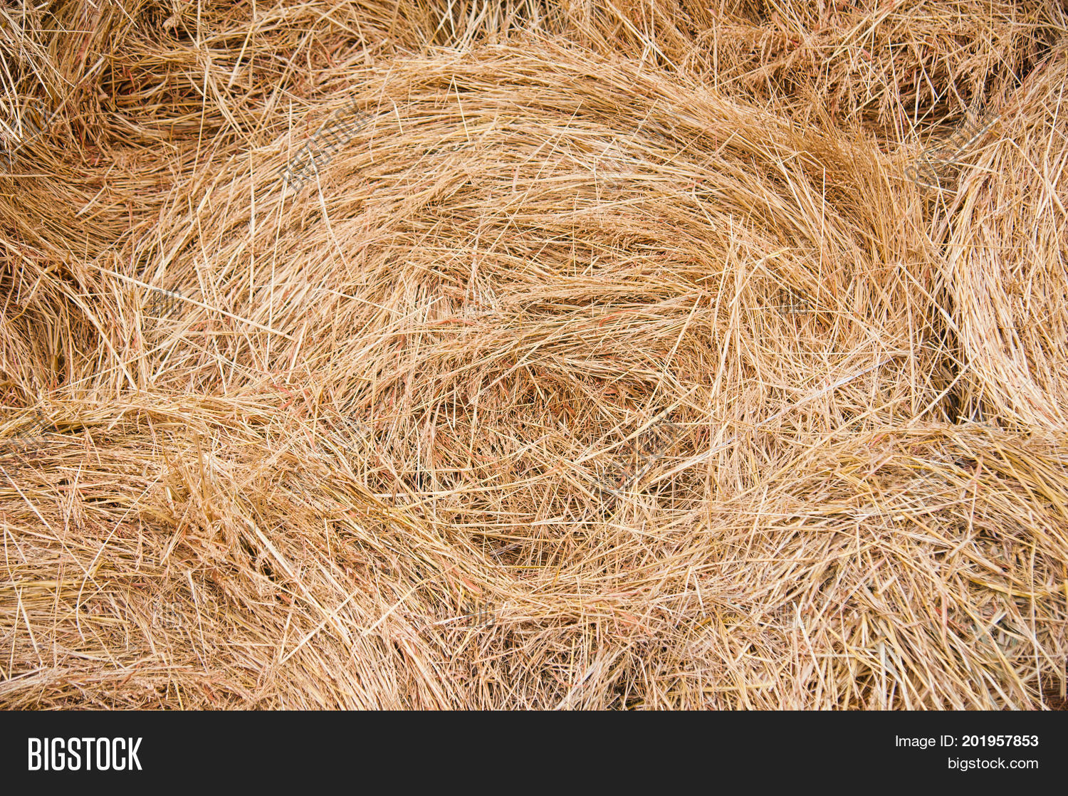 Storage Piles Stacks Image & Photo (Free Trial) | Bigstock