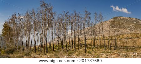 ภาพและภาพถ่าย (ทดลองใช้ฟรี) | Bigstock