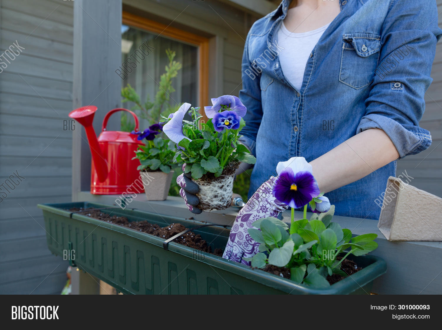 Gardeners Hands Image & Photo (Free Trial) | Bigstock