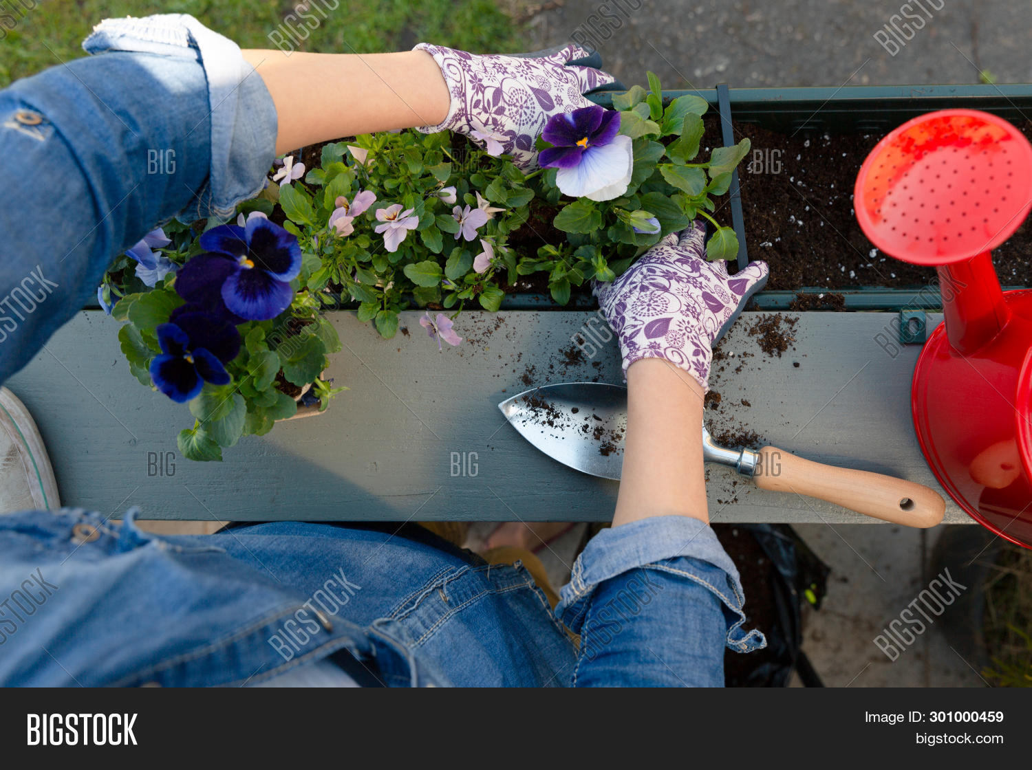 Gardeners Hands Image & Photo (Free Trial) | Bigstock
