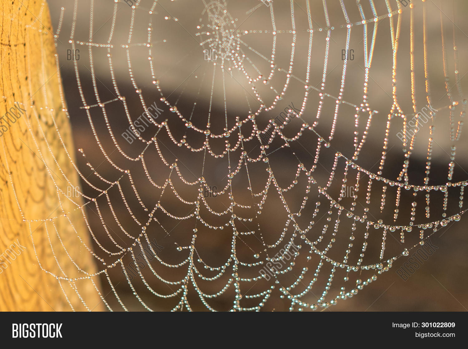 Drop Condensation On Image & Photo (Free Trial) | Bigstock