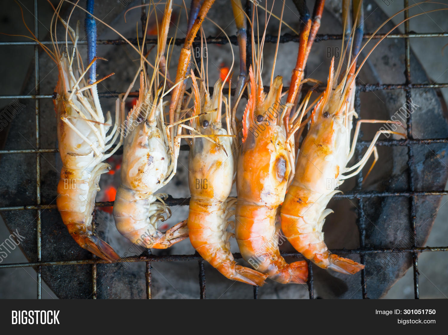 Giant Freshwater Prawn Image & Photo (Free Trial) | Bigstock