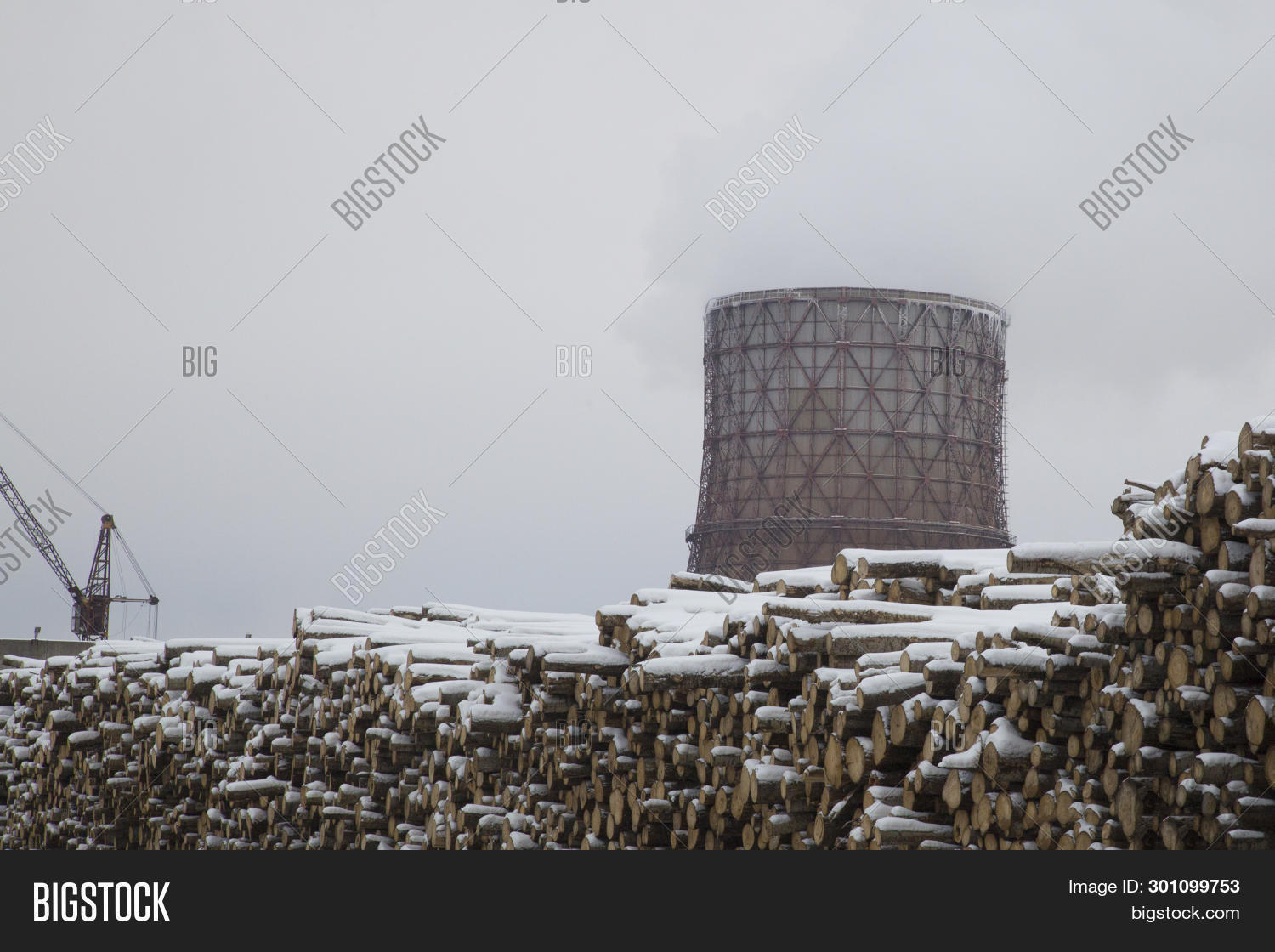 Pulp Paper Mill. Image & Photo (Free Trial) | Bigstock