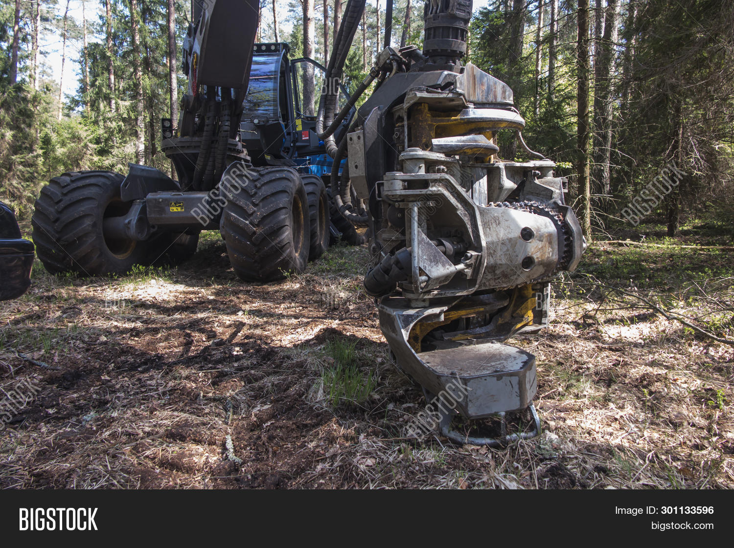 Imagen y foto Forestry Harvester (prueba gratis) | Bigstock