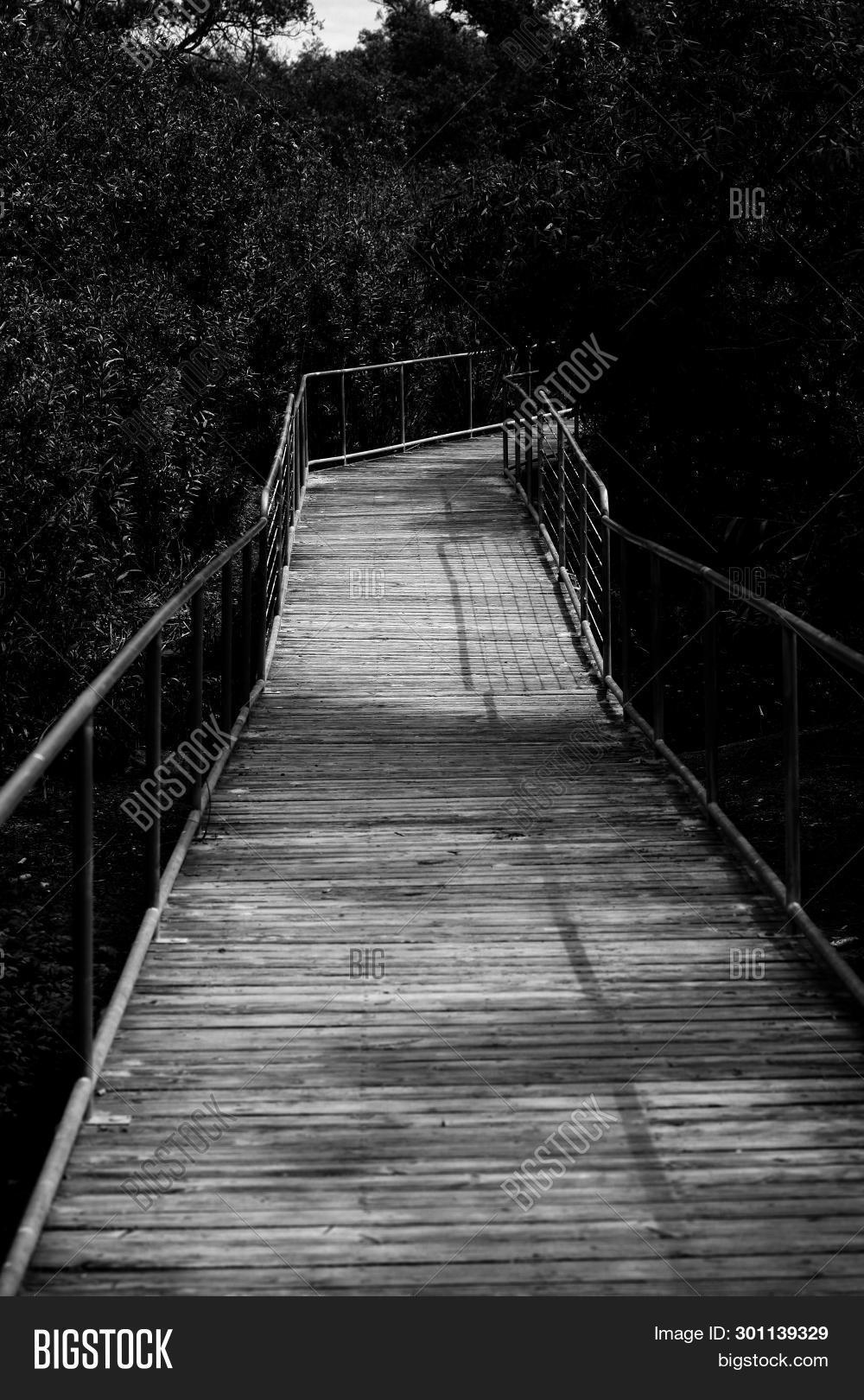 Board Walk. Wooden Image & Photo (Free Trial) | Bigstock