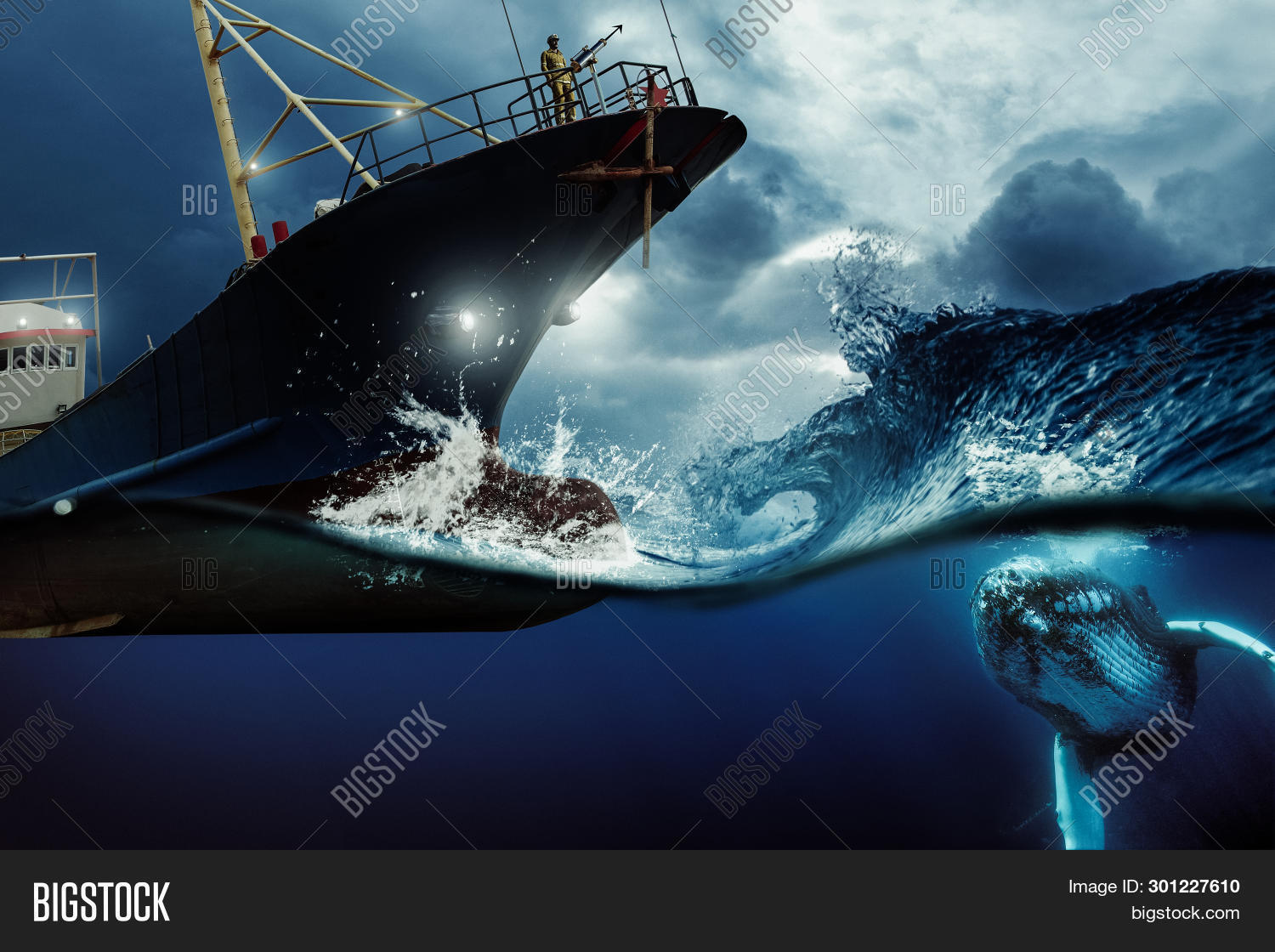 Whaler Ship Hunting Image & Photo (Free Trial) | Bigstock