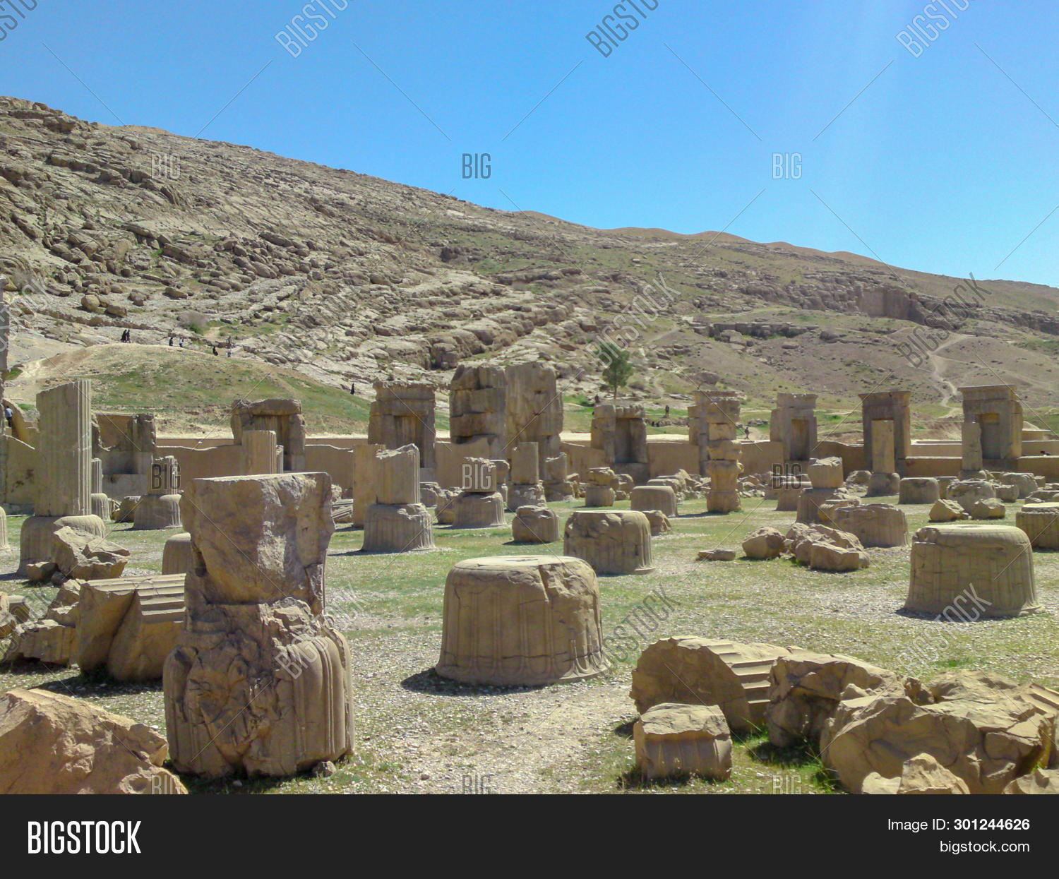 Shiraz, Persepolis, Image & Photo (Free Trial) | Bigstock