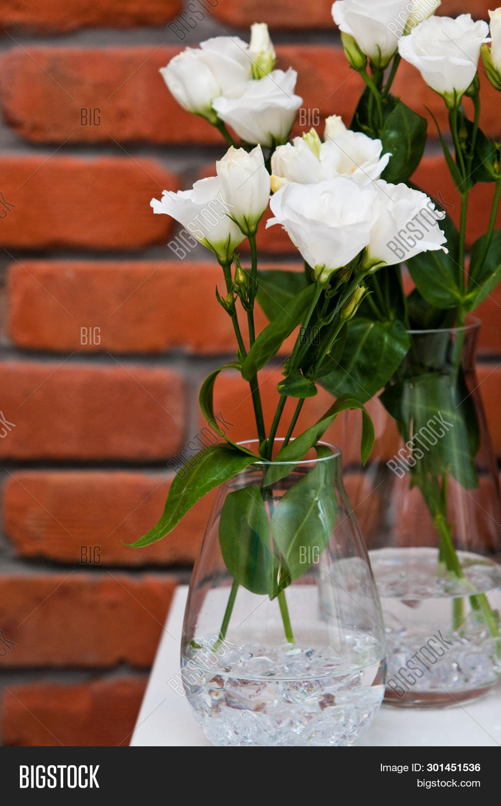 White Eustoma Flowers Image & Photo (Free Trial) | Bigstock