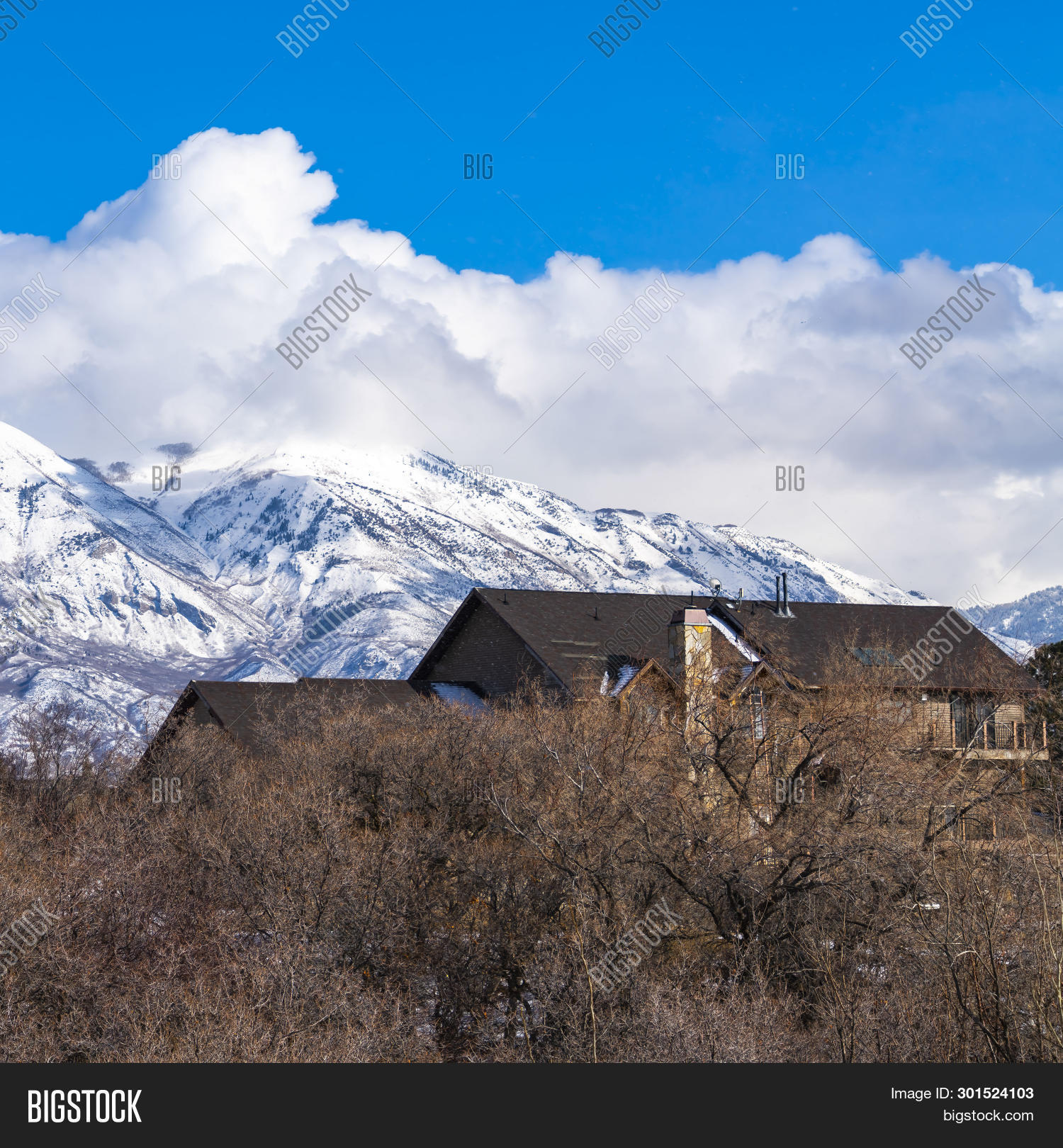 Square Roof Home Seen Image & Photo (Free Trial) | Bigstock