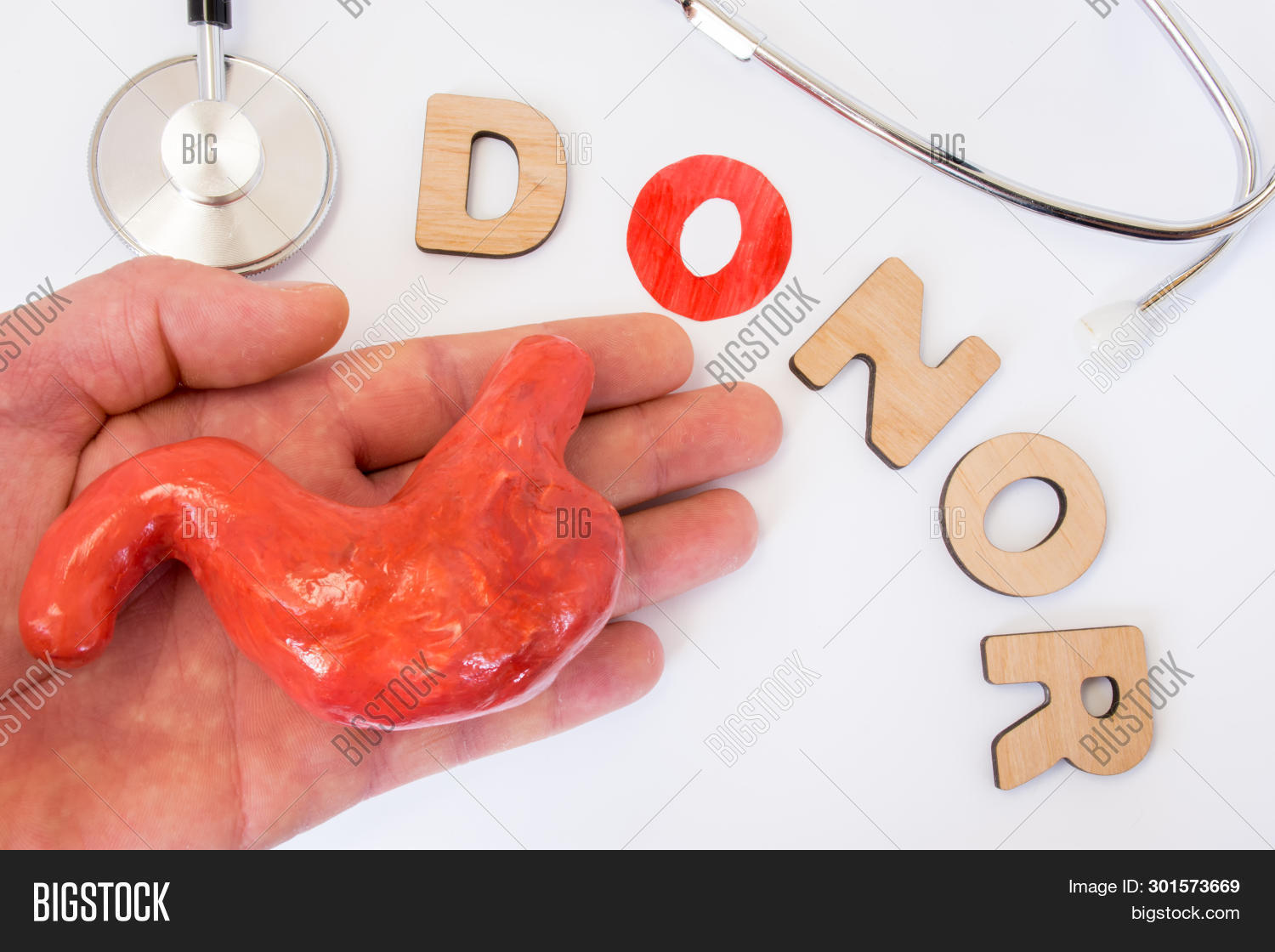 Donation Stomach Hand Image & Photo (Free Trial) | Bigstock