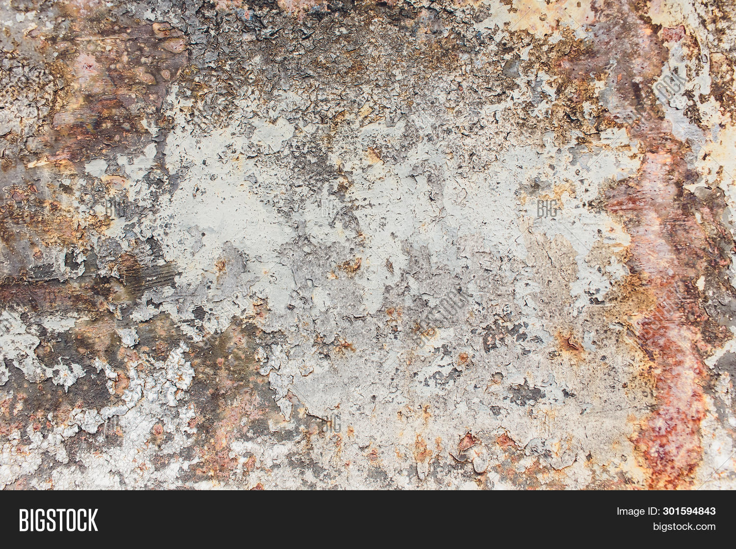 Rusted White Painted Image & Photo (Free Trial) | Bigstock