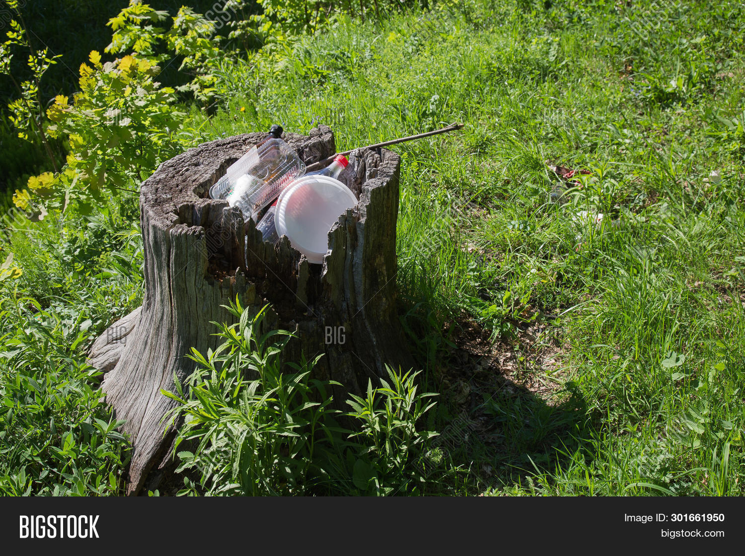 People Littering Image & Photo (Free Trial) | Bigstock