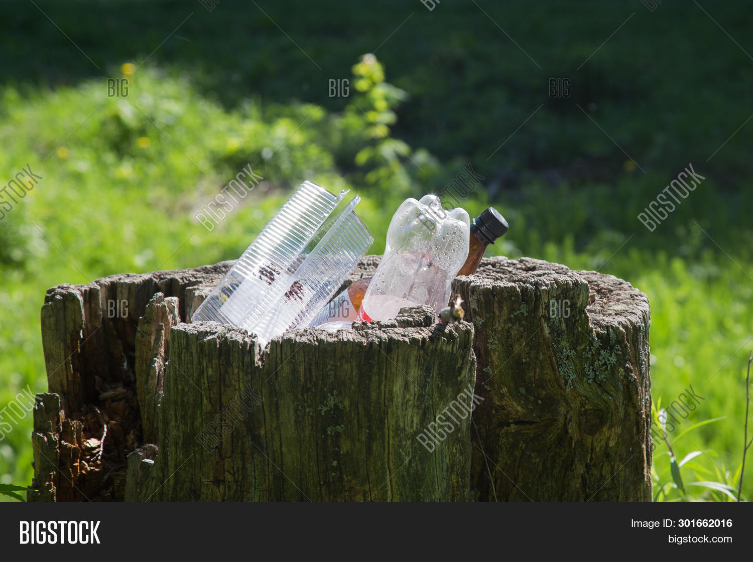 People Littering Image & Photo (Free Trial) | Bigstock