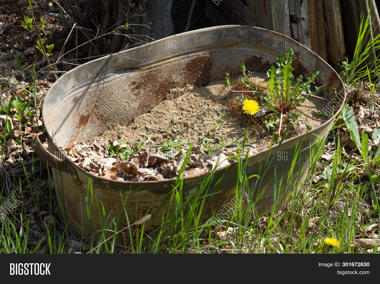 Old Trough Soil Image & Photo (Free Trial) | Bigstock