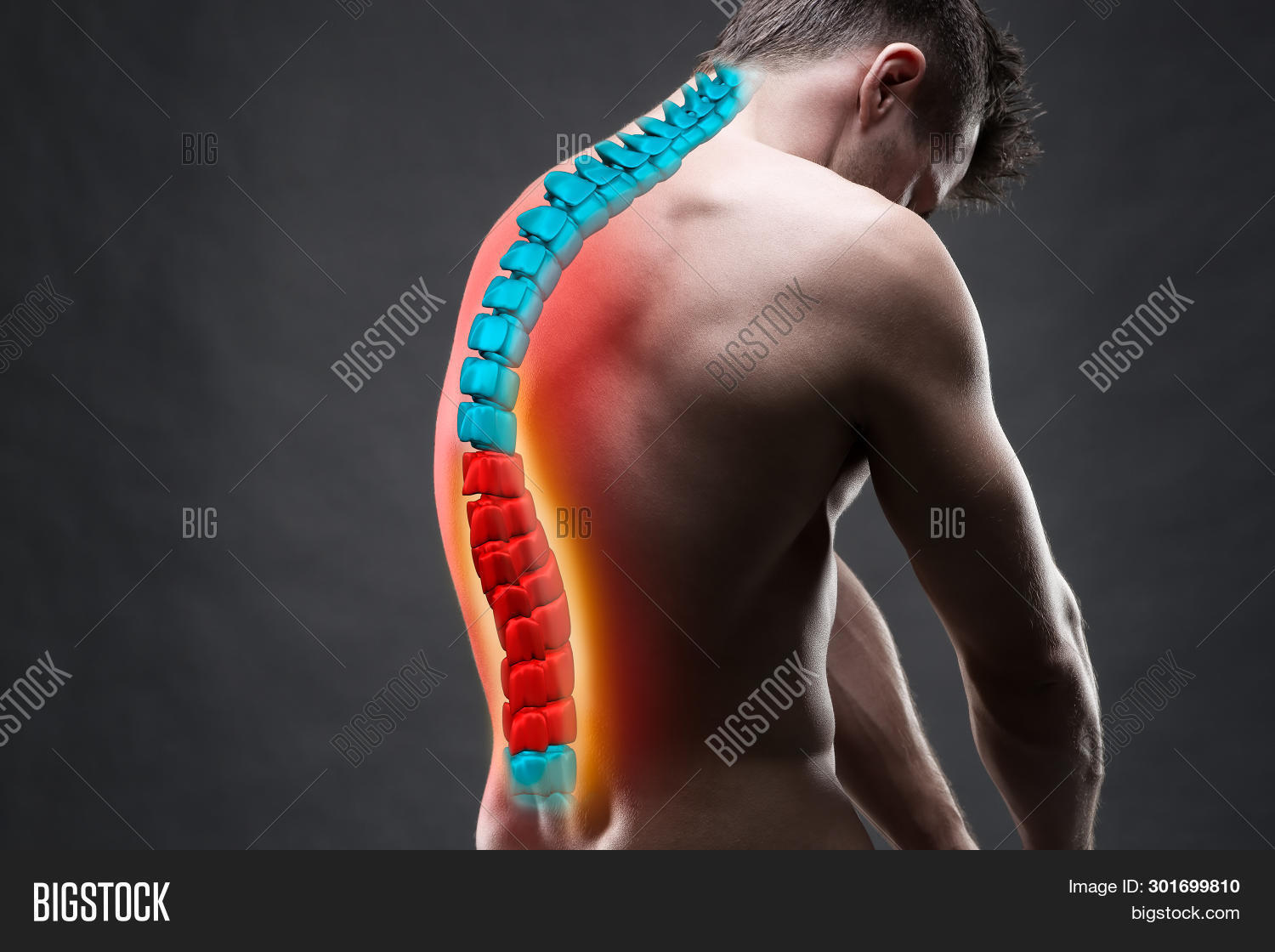 Pain Spine, Man Image & Photo (Free Trial) | Bigstock