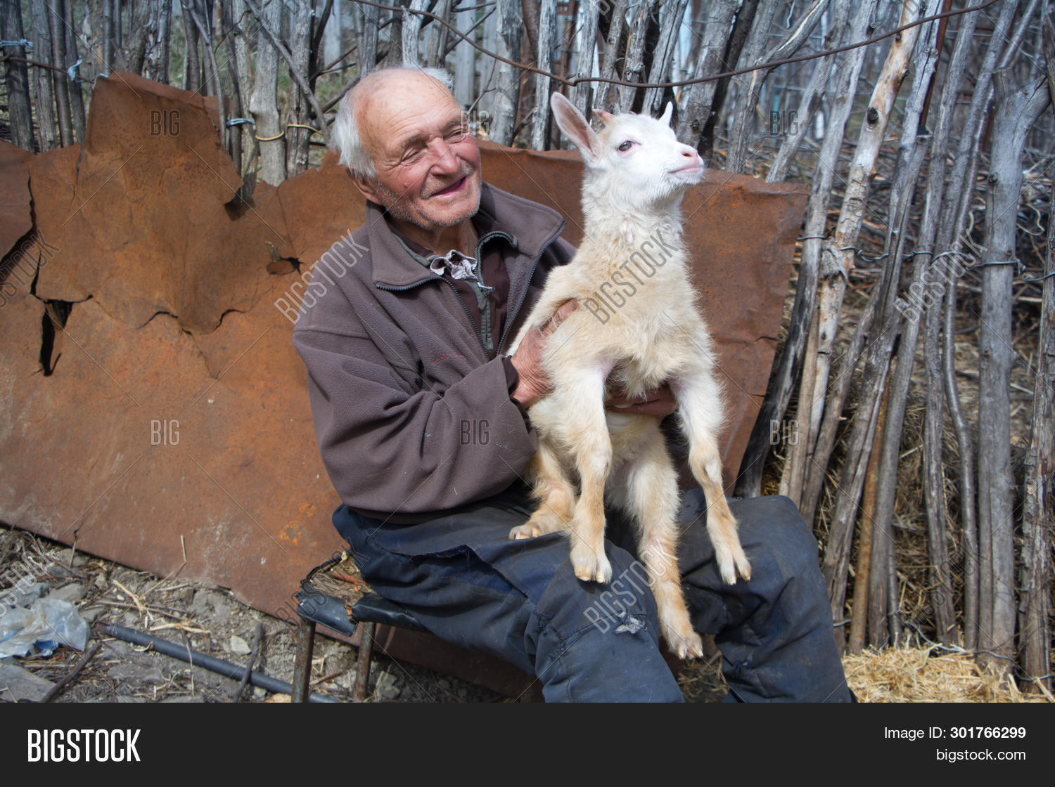 Very Old Man Messy Image & Photo (Free Trial) | Bigstock