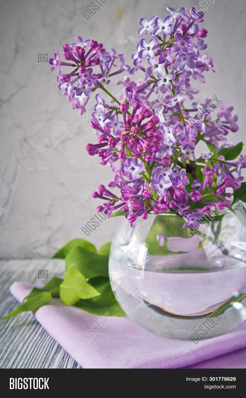 Sprig Lilac Glass Image & Photo (Free Trial) | Bigstock