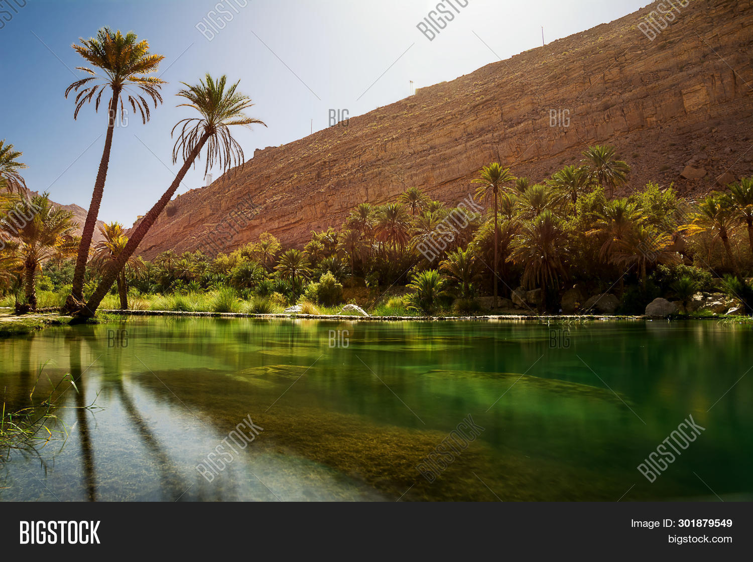 Imagen y foto Amazing Lake Oasis (prueba gratis) | Bigstock