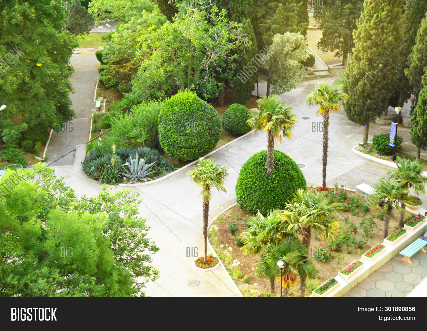 Top View Beautiful Image & Photo (Free Trial) | Bigstock