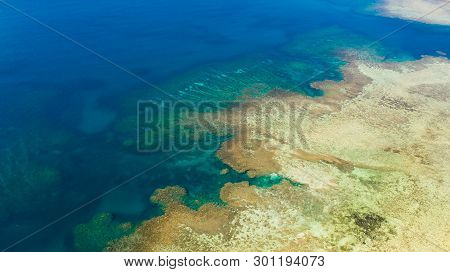 Texture Seabed Coral Image & Photo (Free Trial) | Bigstock